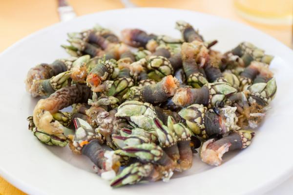 How to cook barnacles – SeaFoodTasty